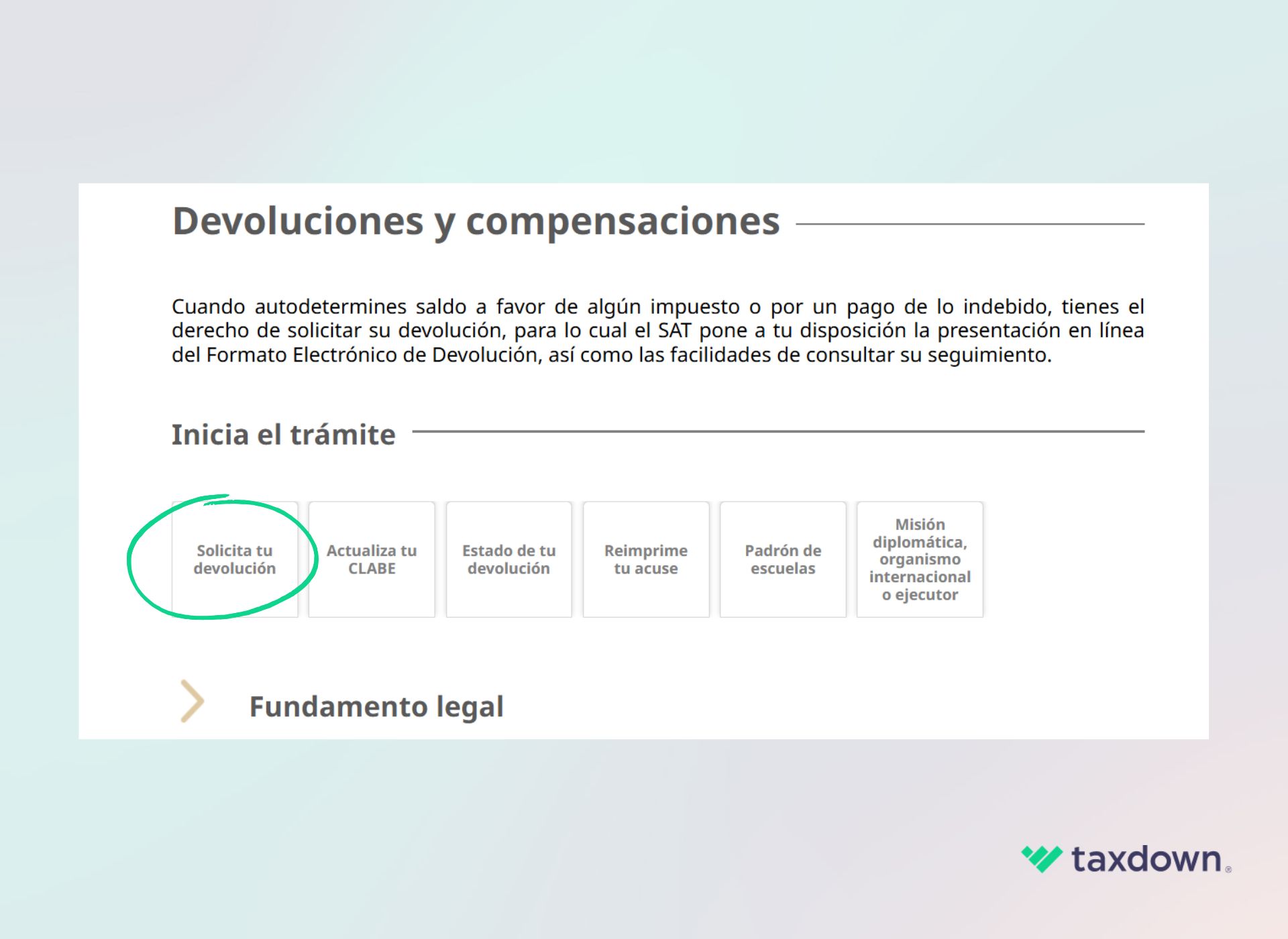 Qué es el Formato Electrónico de Devolución del SAT | TaxDown