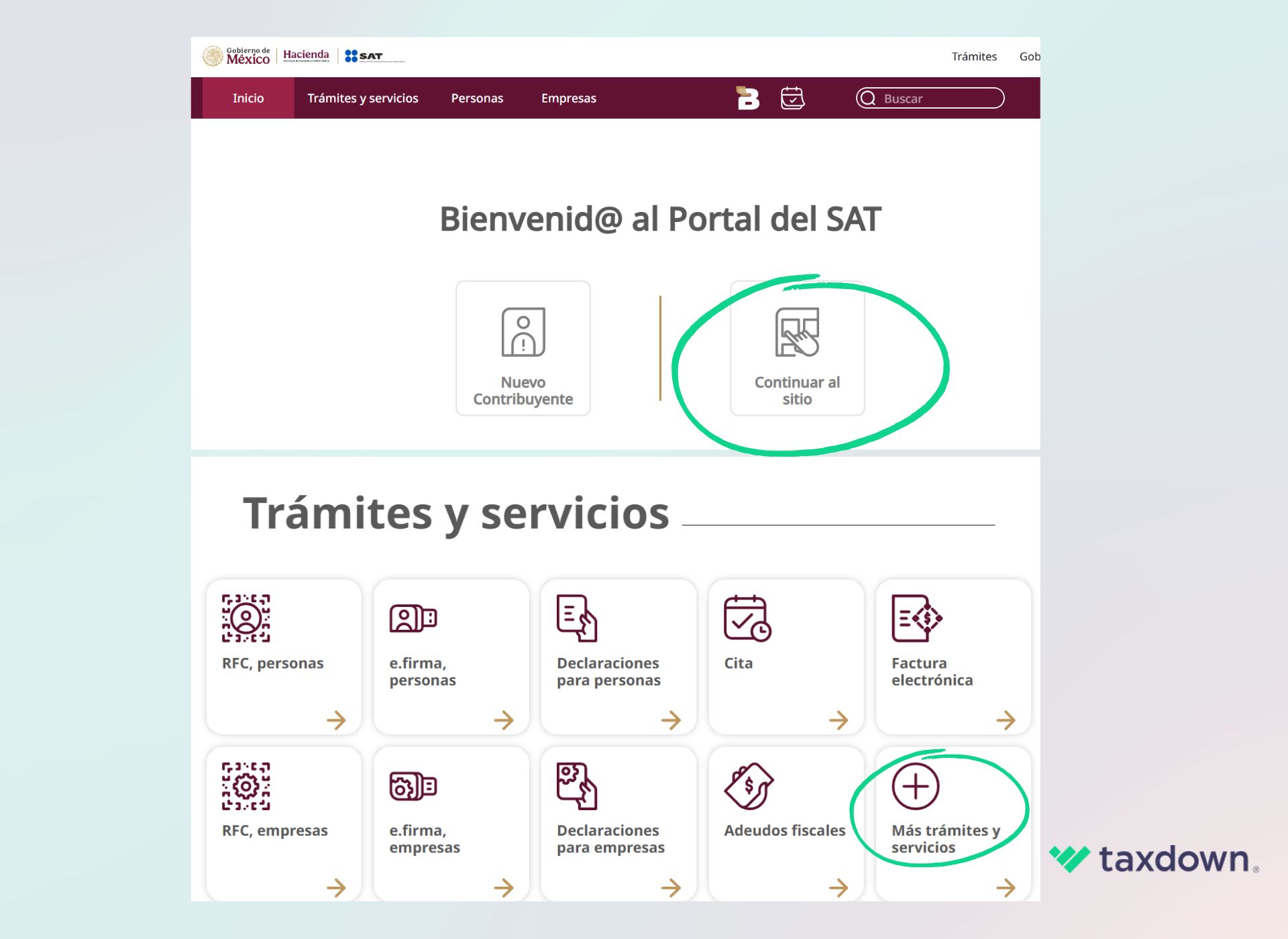 Qué es el Formato Electrónico de Devolución del SAT | TaxDown