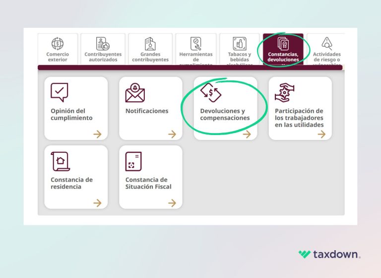Qué es el Formato Electrónico de Devolución del SAT | TaxDown