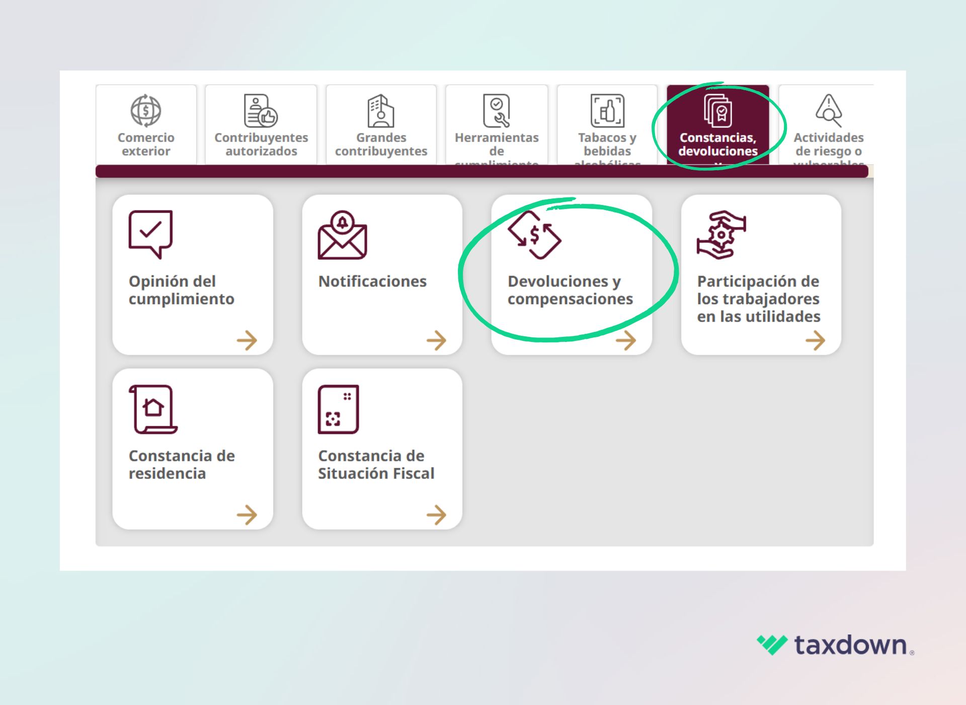 Qué es el Formato Electrónico de Devolución del SAT | TaxDown