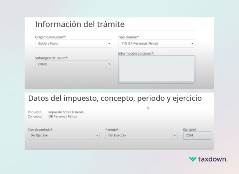 Qué es el Formato Electrónico de Devolución del SAT | TaxDown