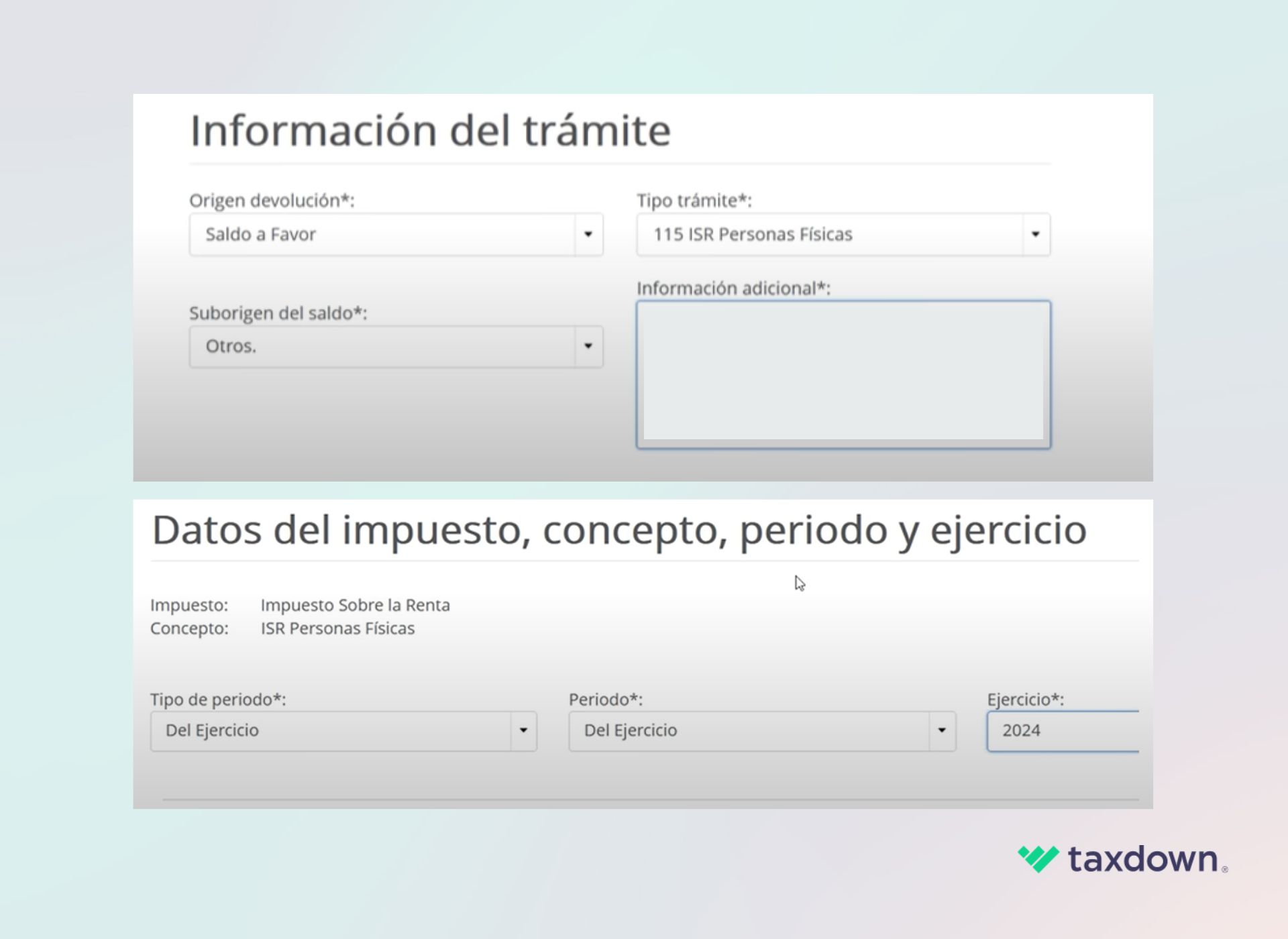 Qué es el Formato Electrónico de Devolución del SAT | TaxDown