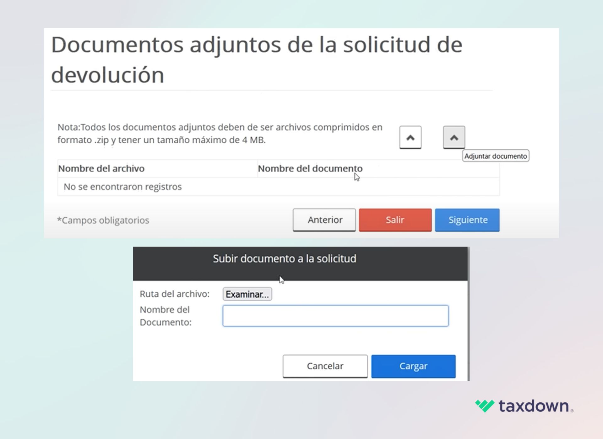 Qué es el Formato Electrónico de Devolución del SAT | TaxDown